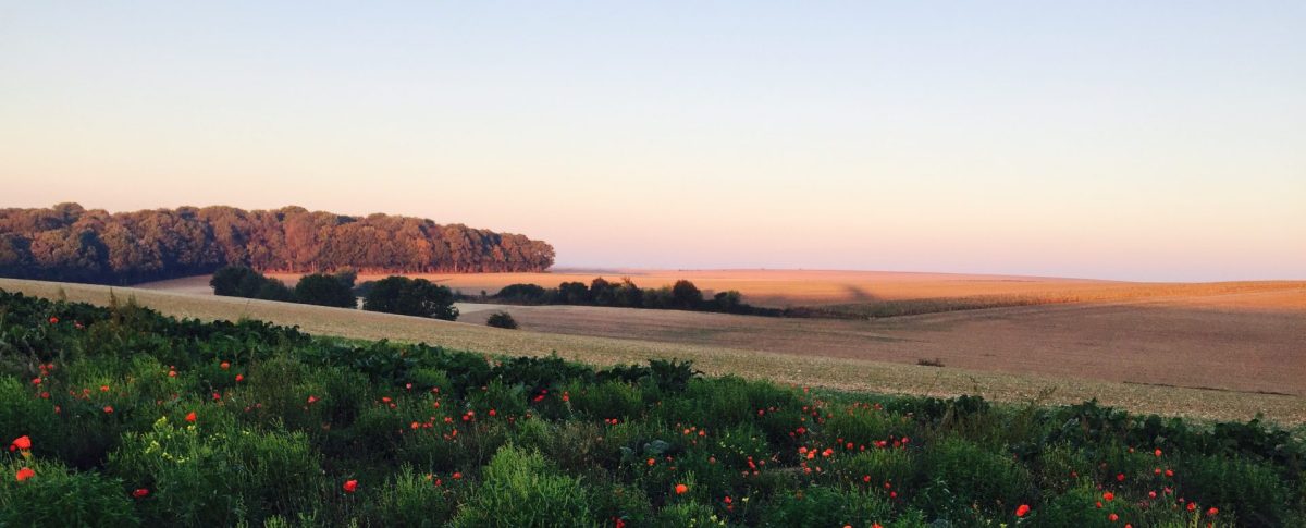 ‘We can judge our progress on our willingness to embrace what is true ...