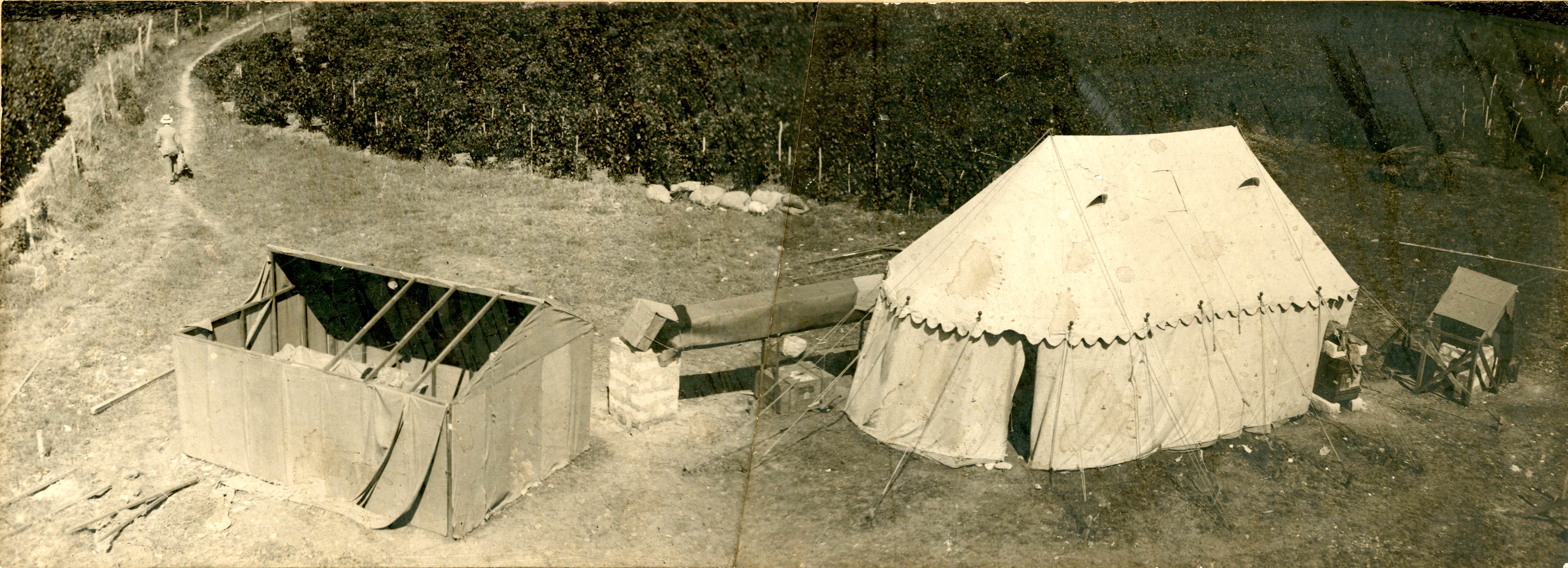 It’s written in the stars – Lucy Betteridge-Dyson