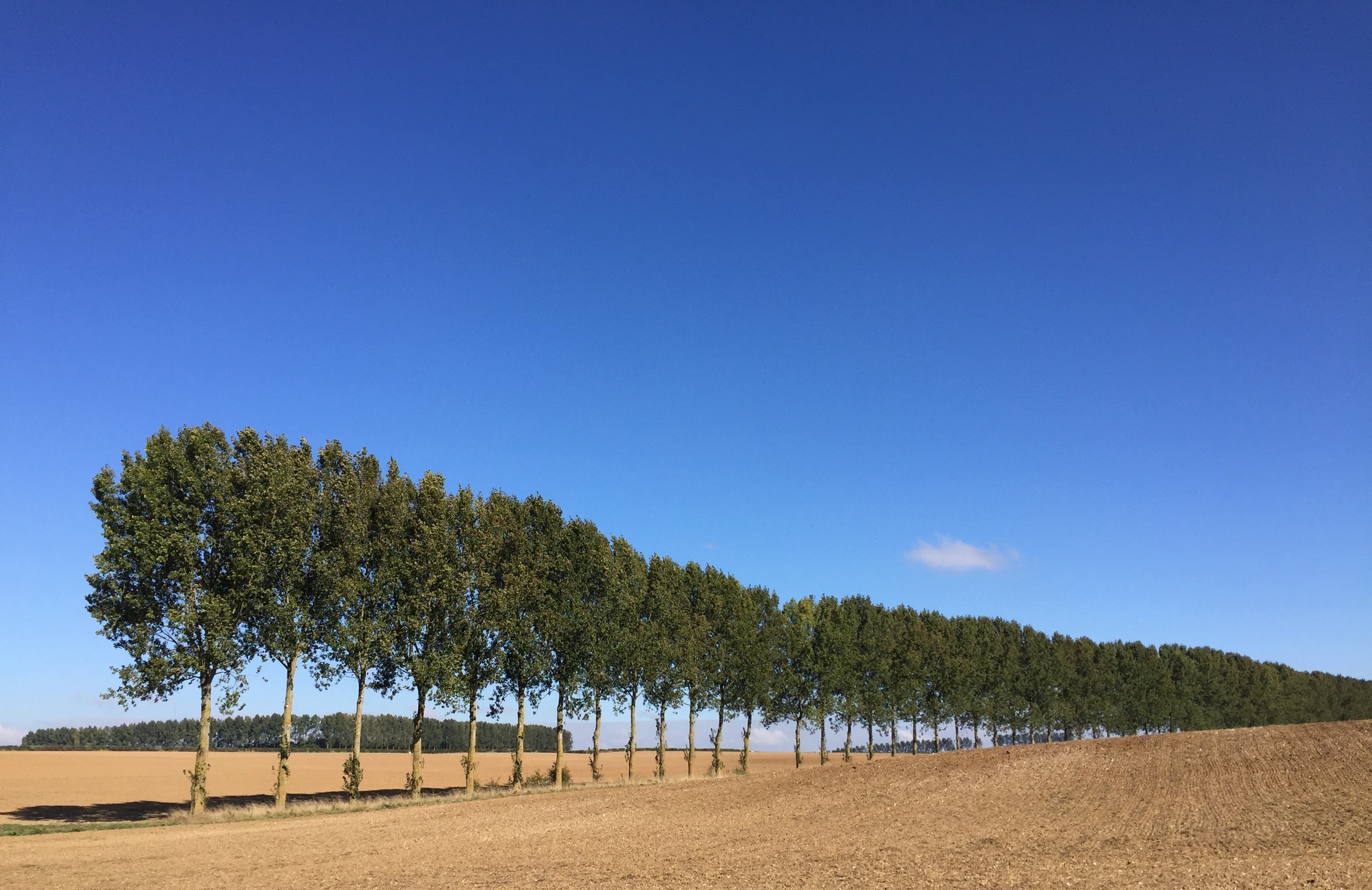 ‘Faithless is he that says farewell when the road darkens’ – Lucy ...