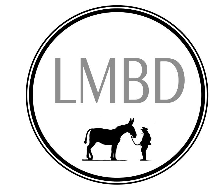 Lucy Betteridge-Dyson – Historian & Broadcaster